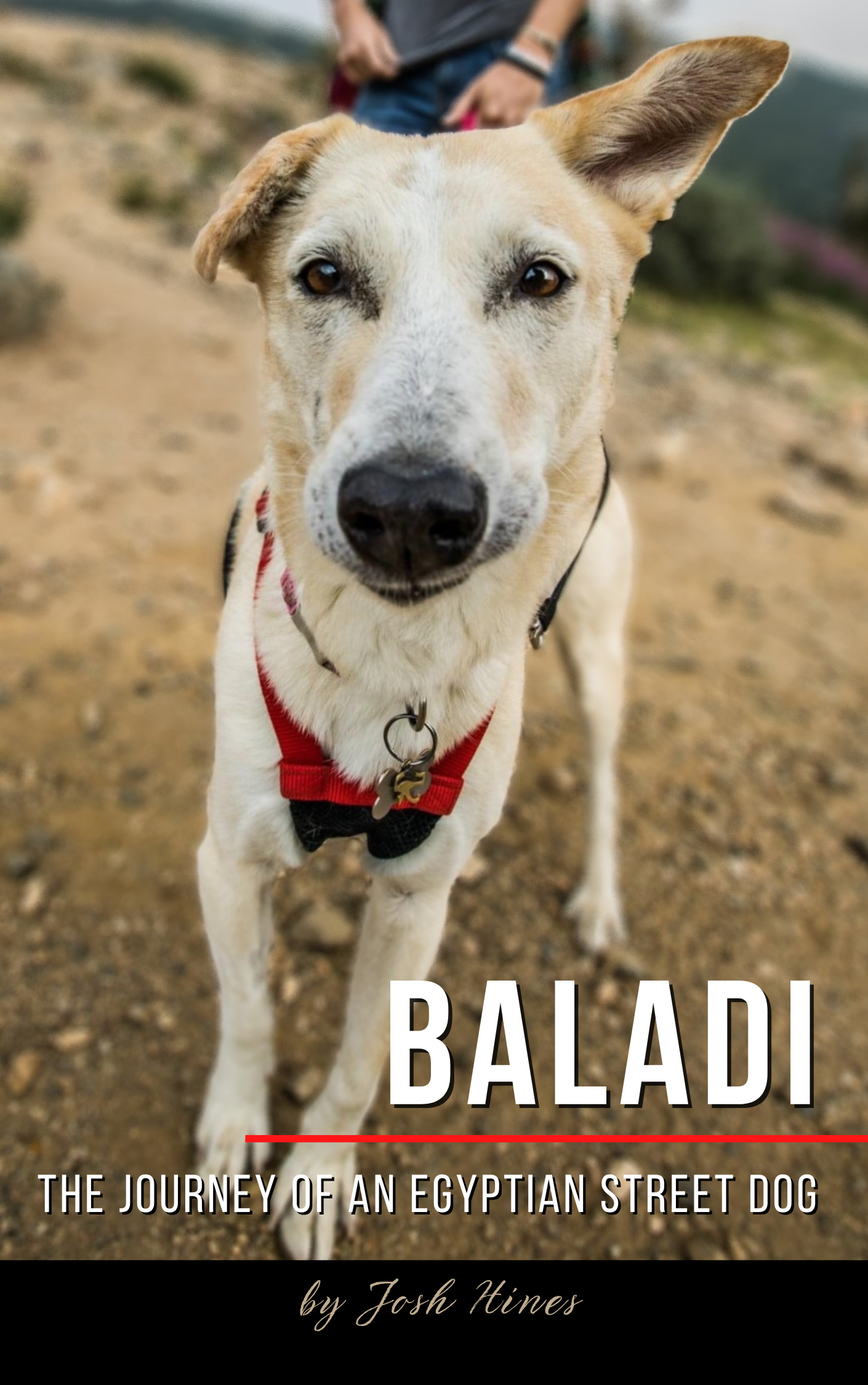 ESMA Volunteer Writes Book About Rescue With All Proceeds Going To ESMA ...